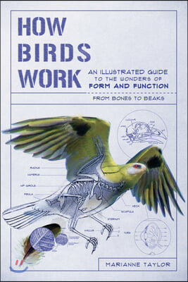 How Birds Work: An Illustrated Guide to the Wonders of Form and ...