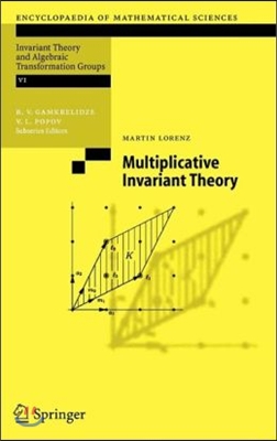 Multiplicative Invariant Theory - 예스24