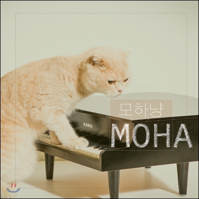 모하 (Moha) - 모하냥 - 예스24