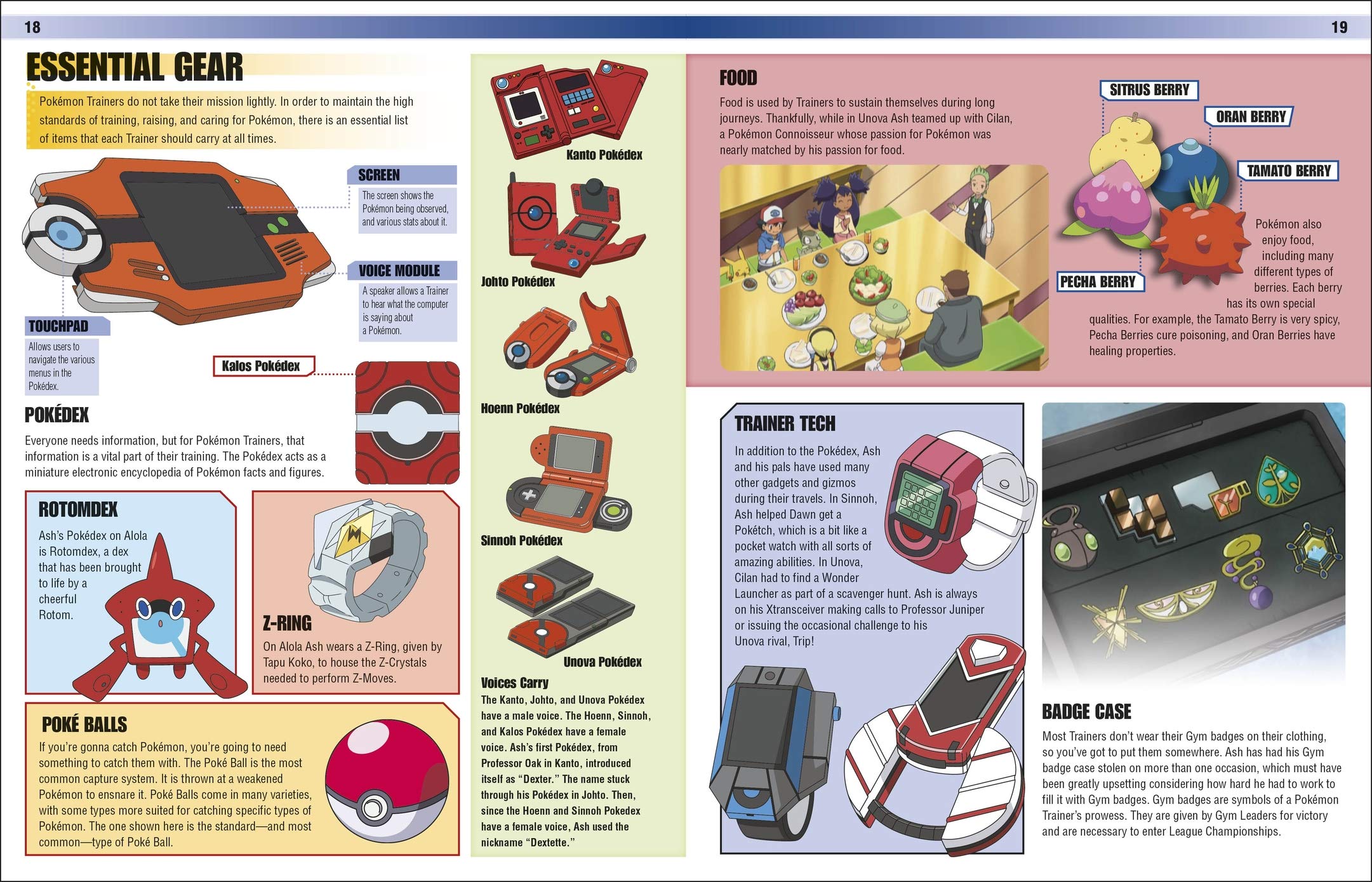 Pokemon Visual Companion - 예스24