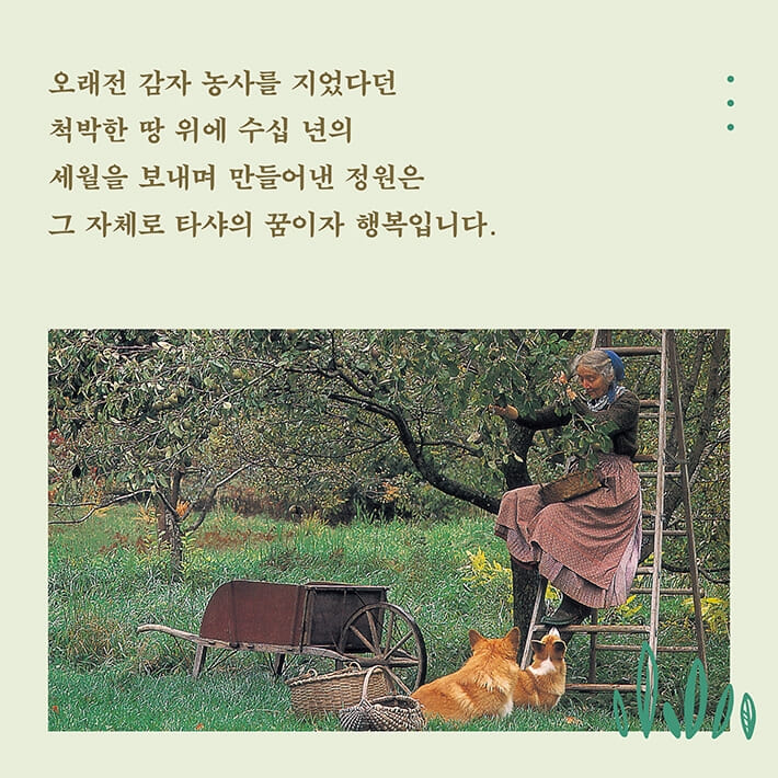 행복한 사람, 타샤 튜더 | 타샤 튜더 | 윌북(willbook) - 예스24