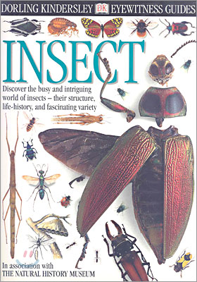 DK Eyewitness Guides : Insects | Laurence Mound | DK - 예스24