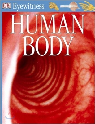 [중고샵] DK Eyewitness : Human Body - 예스24