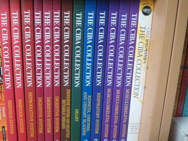 The ciba collection - YES24