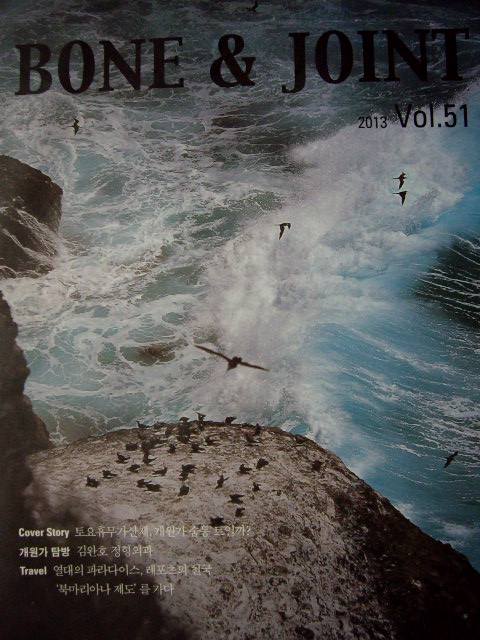 [중고샵] Bone & Joint 2013년 Vol.51 - 예스24